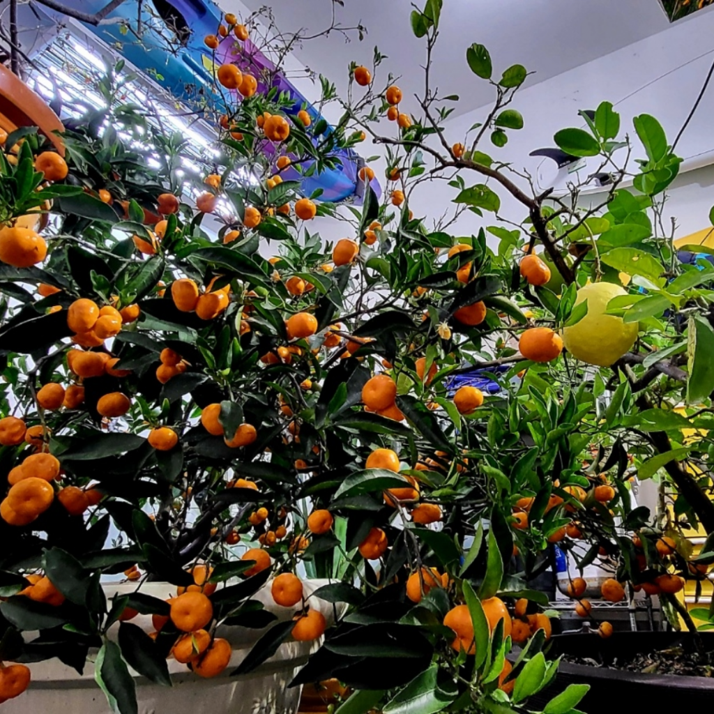 My Bakelite Story – Commercial Team: Brad Roderick